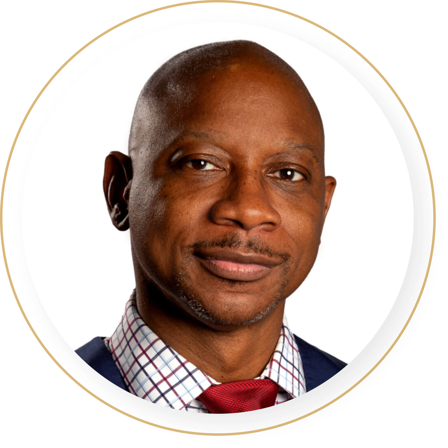 Promotional page – “DDIC Book” - ProActiveEd